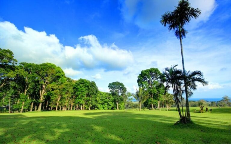 MSU Kalilang Golf & Country Club in Philippines - GolfLux