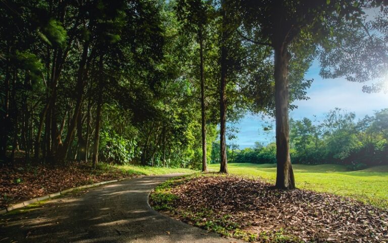 All about The Club at Bukit Utama in Selangor - GolfLux
