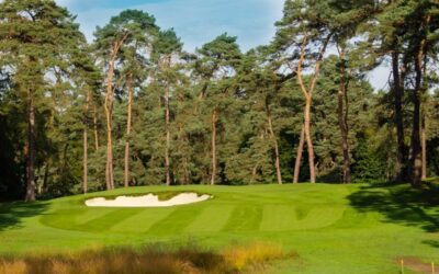 Top 10 Best Golf Courses in Germany for 2025 (Updated) - GolfLux