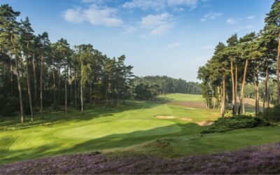 Top 10 Best Golf Courses in Germany for 2025 (Updated) - GolfLux