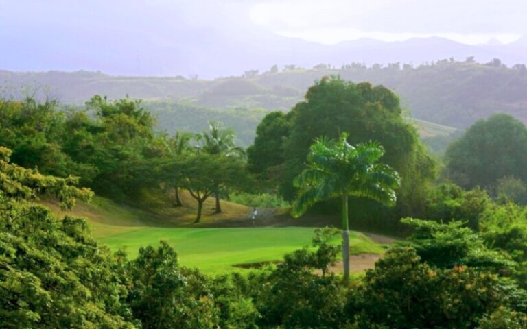 Iswahyudi Golf Club in Jawa Timur, Indonesia - GolfLux