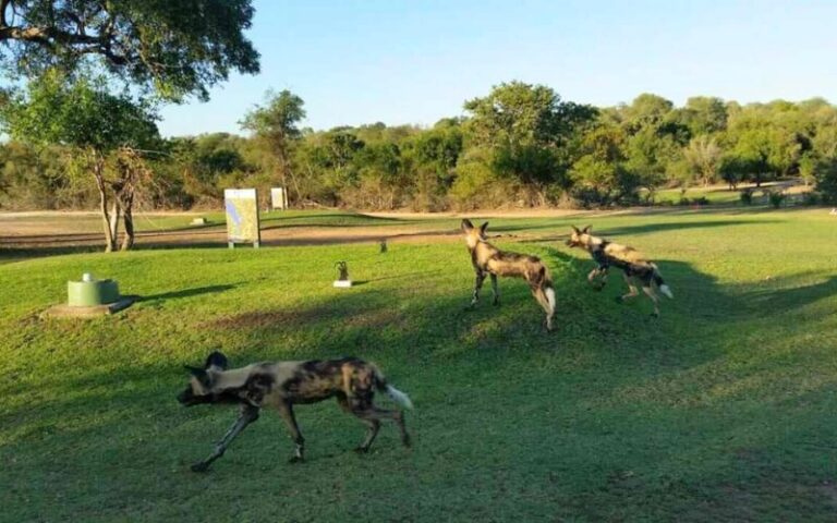 Leopard Creek Country Club in South Africa, Tee Times - GolfLux