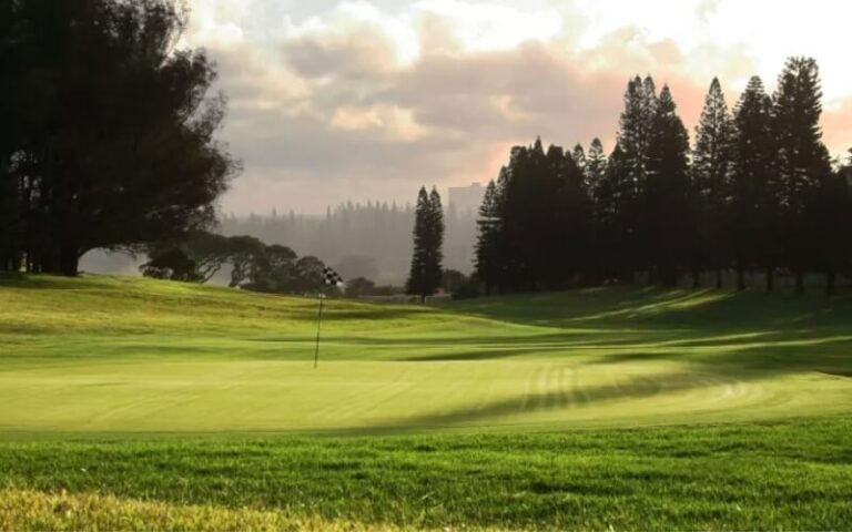 East London Golf Club: Descriptions & Green Fees - GolfLux
