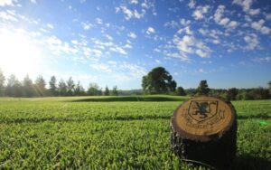 Kyalami Country Club: Green Fee & Book Tee Time - GolfLux