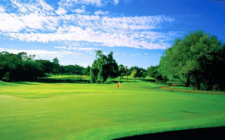 Copperleaf Golf & Country Estate - Els Club in Gauteng