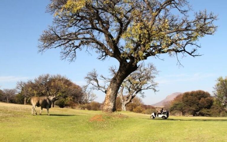 Seasons Lifestyle Estate | Brits Golf Club in South Africa