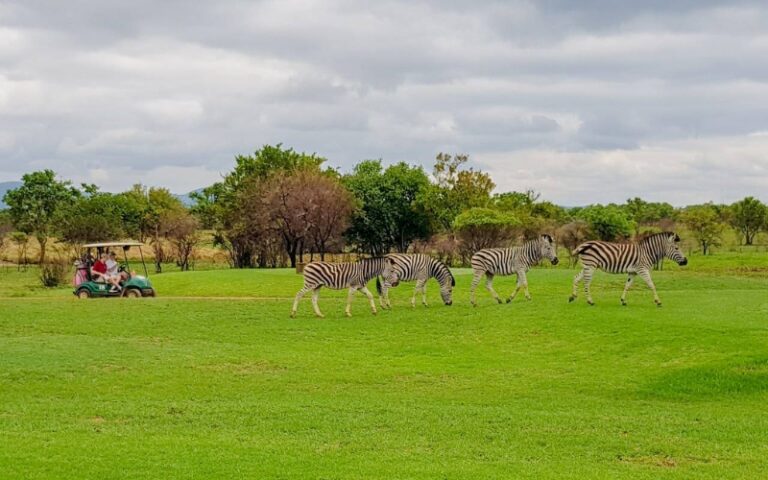 Zebula Golf Estate & Spa: Tee Times & Reviews - GolfLux